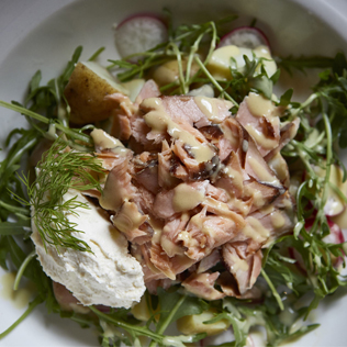 The Bear Inn - Food at The Bear Inn Pub & Restaurant, Oxford